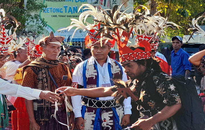 Tarian Lamaholot Hantar El Asamau Daftarkan Diri Sebagai Balon DPD RI ...